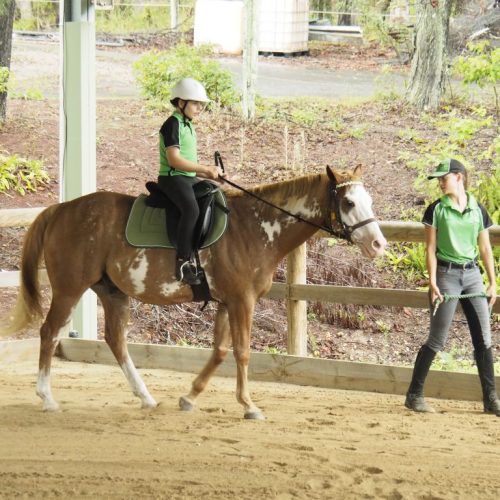 RDA Participant Program - Arundel Park Riding for Disabled Inc.